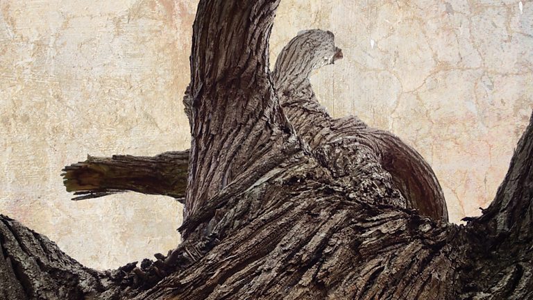 BBC Radio 4 - Incarnations: India in 50 Lives, Charaka: On Not ...