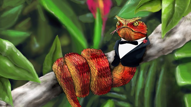 BBC Radio 4 - Natural Histories, Snakes - 11 fangtastic facts about snakes