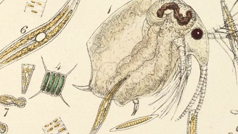 BBC Arts - Get Creative - Putting art under the microscope