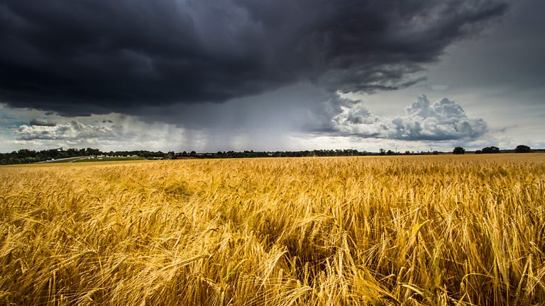 BBC Radio 4 - In Our Time - The In Our Time Listeners' Top 10
