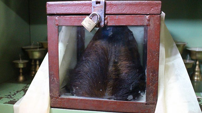 BBC One - Planet Earth II - Ten things you should know about yetis