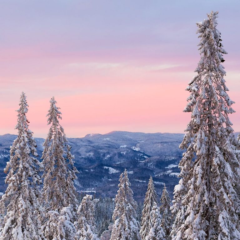 BBC Radio 4 - Radio 4 in Four - Nine surprising facts about snow