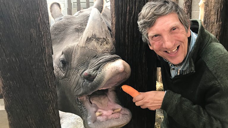 BBC Radio 4 - Natural Histories - Giraffemania: When Europe went spotty ...