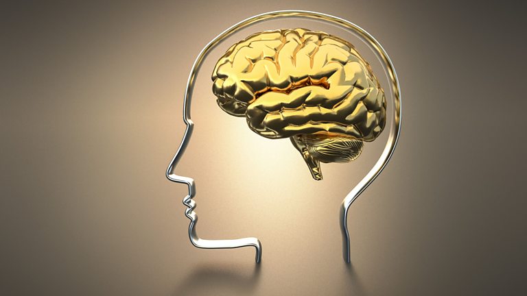 BBC Radio 4 - Radio 4 in Four - Eight ways to boost your brain power
