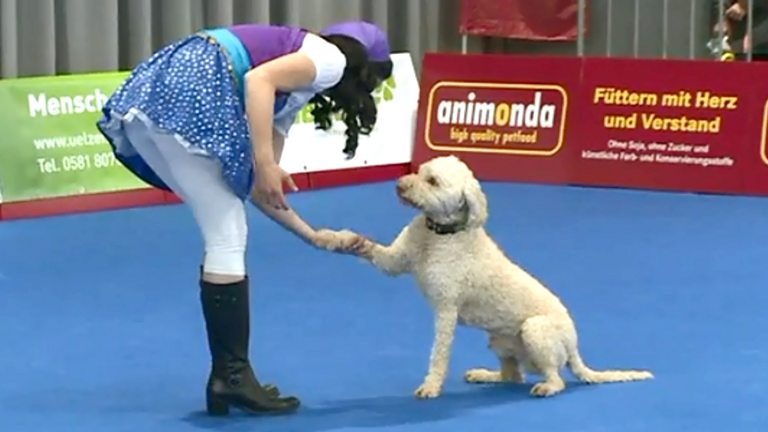 BBC Scotland - BBC Scotland - Best in Showgirls: the vet banned from ...