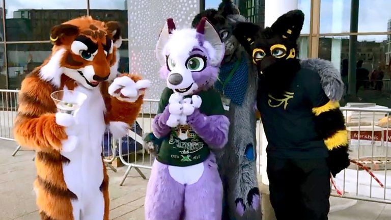 BBC Scotland - BBC Scotland - Fixy the Fox: I’m a full-time Furry