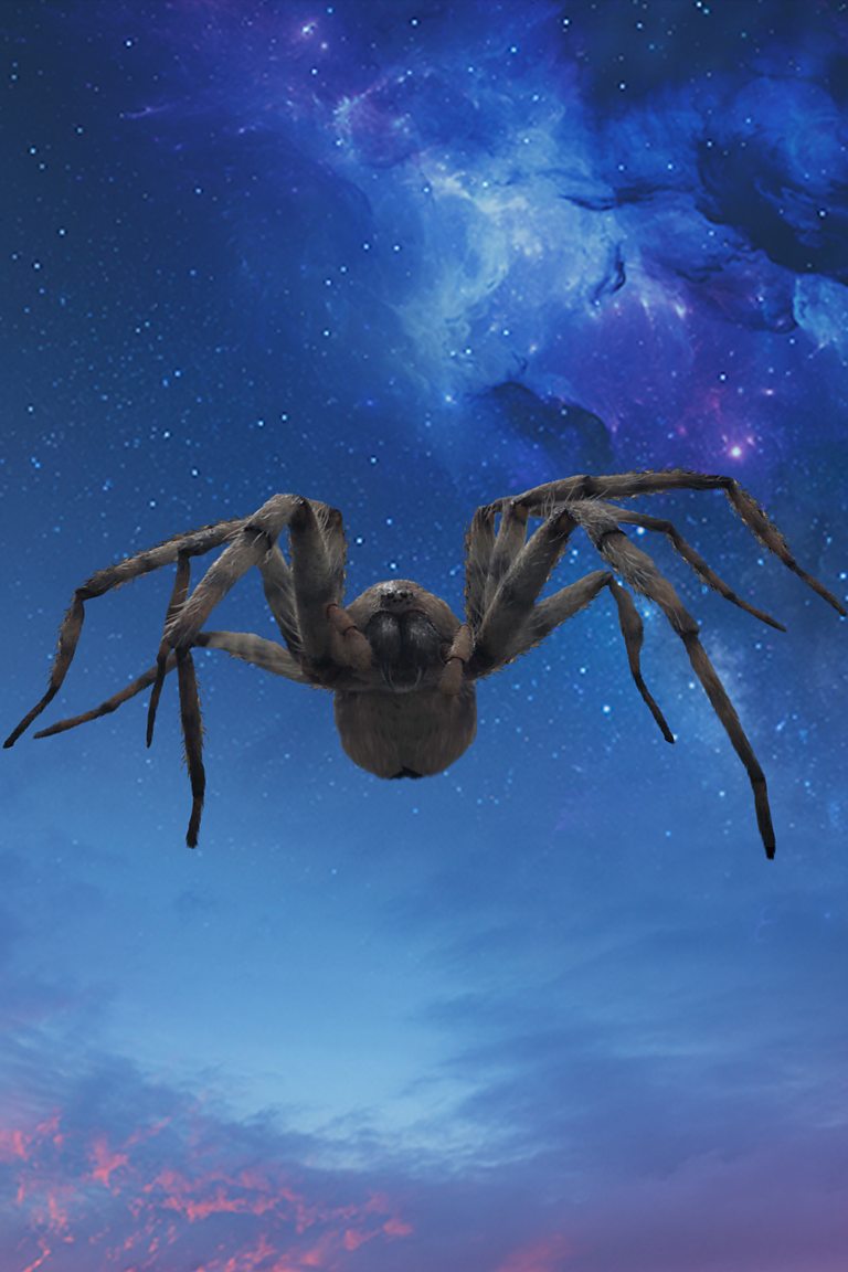 BBC One - Doctor Who (2005–2022), Series 11 - Mutant Spiders