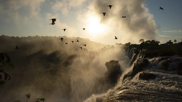 BBC One - Seven Worlds, One Planet - Antarctica: A frozen continent in ...