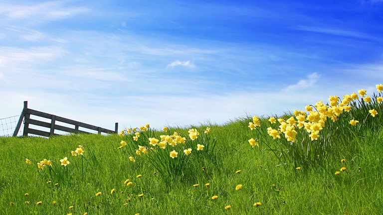 BBC Radio 4 - Radio 4 in Four - 12 Spring words to celebrate the new season