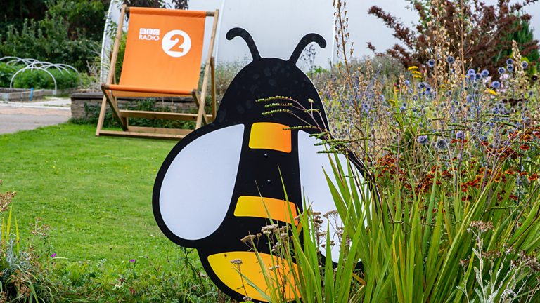 BBC Radio 2 - Radio 2's Big Bee Challenge - The Big Bee Challenge live ...