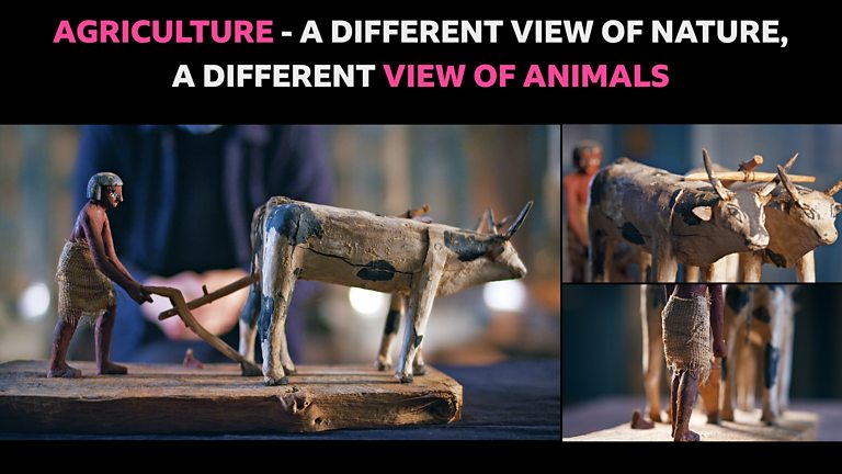 BBC Arts - BBC Arts - The first art: What ancient objects reveal about ...