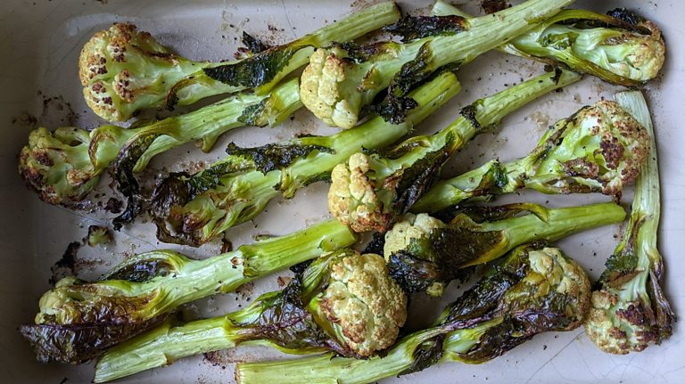 BBC Radio 4 - Radio 4 in Four - Veg invention: the new fruit and veg ...