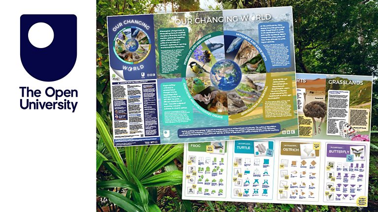 BBC One - Planet Earth III, Series 1, Forests