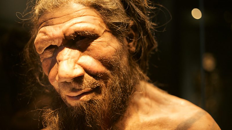 How Neanderthal are you? - BBC Reel