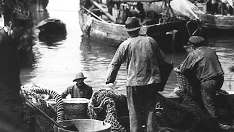 Migration and Empire - Higher History - BBC Bitesize