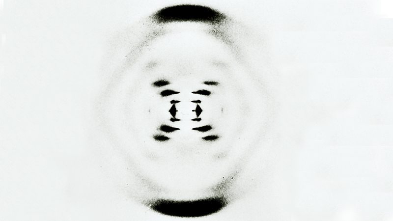 The structure of DNA - DNA and inheritance – WJEC - GCSE Biology ...