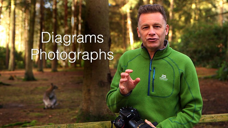 How to write a discussion text - BBC Teach