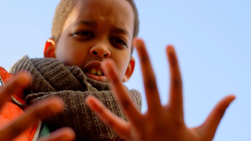 Evolutionwatch - BBC Teach