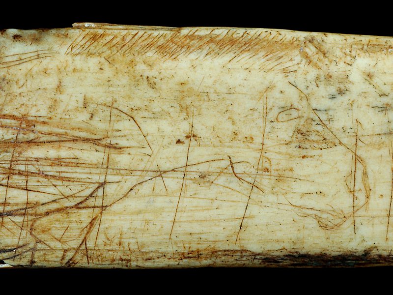 Life in the Mesolithic Stone Age - BBC Bitesize