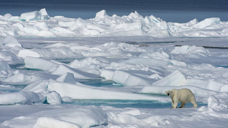 Characteristics of Antarctica and the Arctic - Polar environments - OCR ...