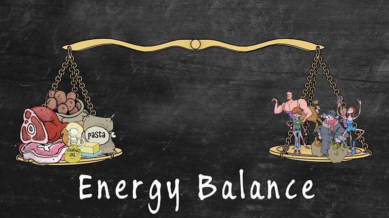 KS4 Design and Technology: Food Groups and the Eatwell Guide - BBC Teach