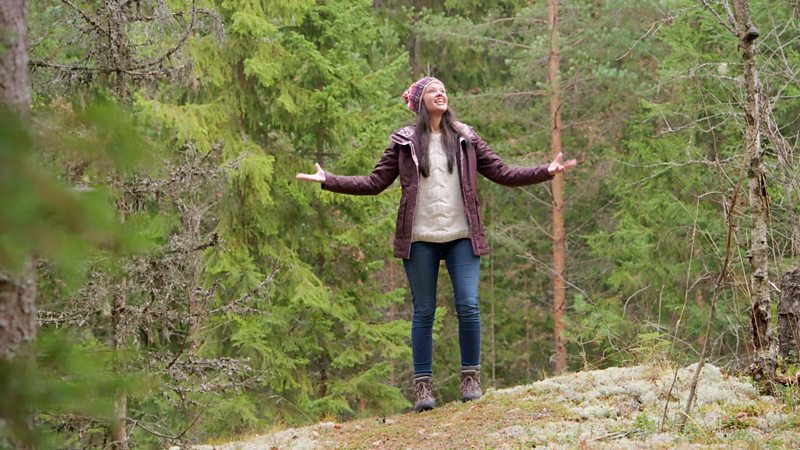 Wildlife adaptations of the Mediterranean biome - BBC Teach