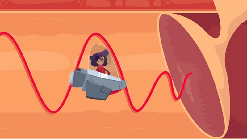 Light and sound - 2nd level Science - BBC Bitesize