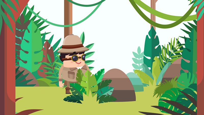 Sound - KS2 Science - BBC Bitesize