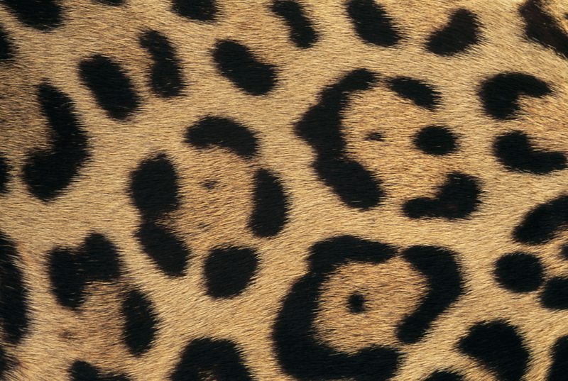 What is a pattern? - Pattern - AQA - GCSE Art and Design Revision - AQA ...