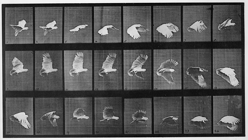 Higher Art and Design - BBC Bitesize