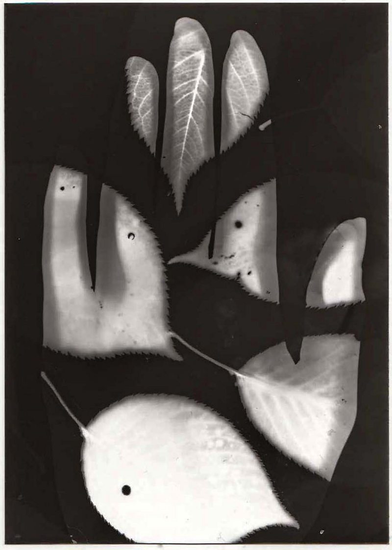 Camera-less photography - Photography - Higher Art and Design Revision ...