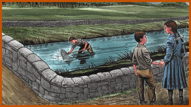 Private Peaceful by Michael Morpurgo - BBC Teach