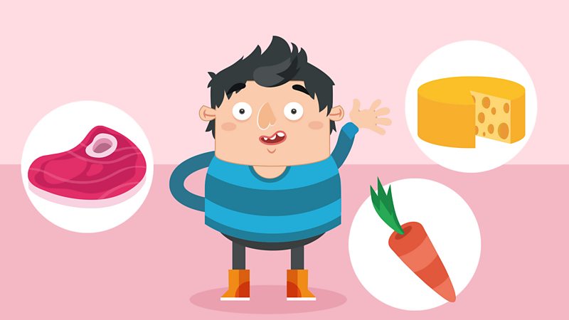 Food - KS2 | Ages 7-11 | Bitesize Primary Topic Packs - BBC Bitesize