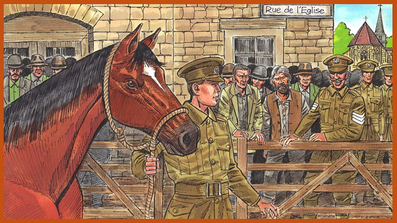 English KS2: War Horse by Michael Morpurgo - BBC Teach