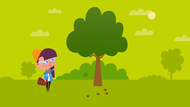 Scientific skills - KS2 The World Around Us - BBC Bitesize