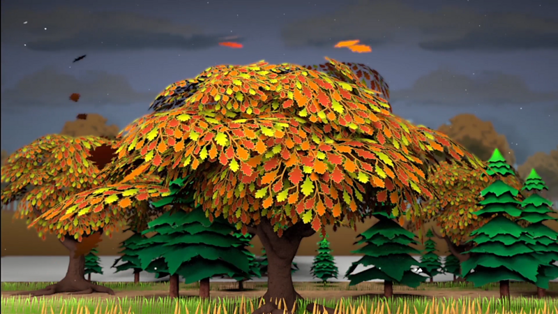 Living things - 1st level Science - BBC Bitesize