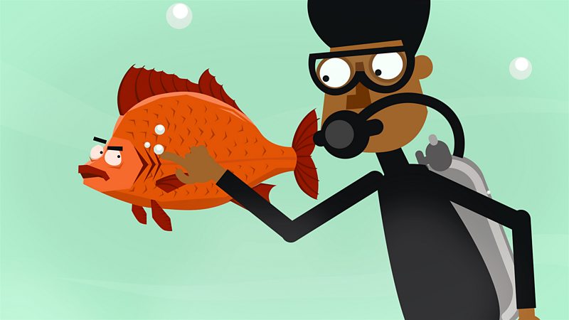 Oceans - KS1 - BBC Bitesize