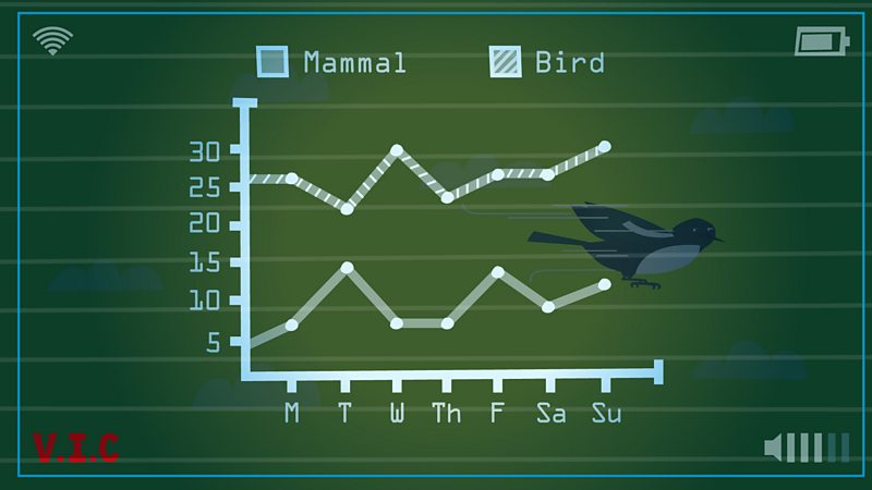Working scientifically - KS1 Science - BBC Bitesize