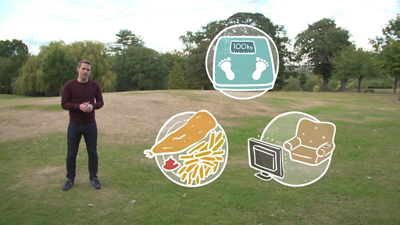 The human body - staying alive - GCSE Combined Science - BBC Bitesize