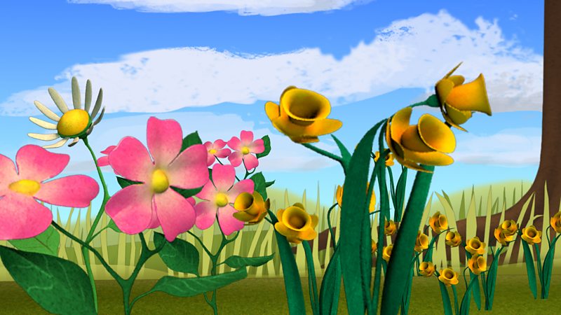 Plants - KS1 Science - BBC Bitesize