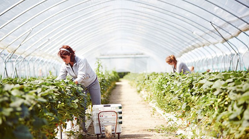 Separate chemistry 2 - GCSE Chemistry (Single Science) - BBC Bitesize