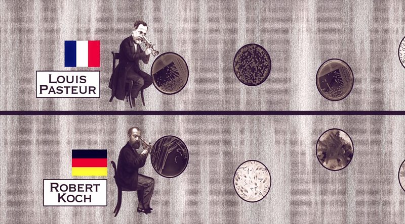 KS3 / GCSE History: Medical pioneers - Alexander Fleming, Howard Florey ...