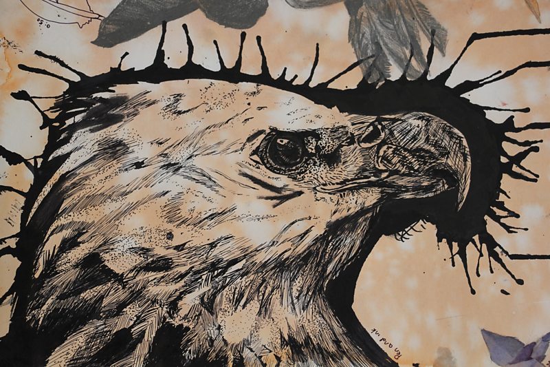 Pens and ink - Drawing - National 5 Art and Design Revision - BBC Bitesize