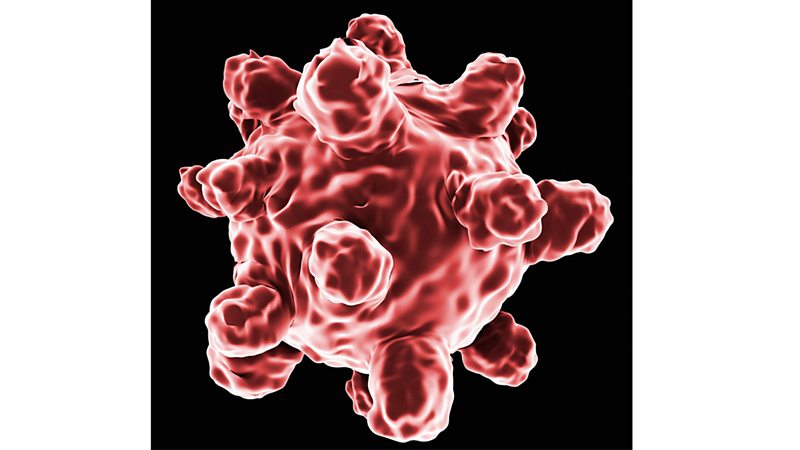 Viral diseases - Communicable diseases - AQA - GCSE Biology (Single ...