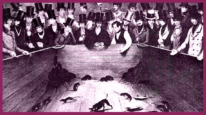 The Trapper - BBC Teach