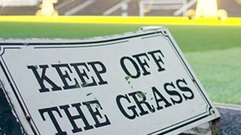 Why do leaves fall off trees? - BBC Bitesize