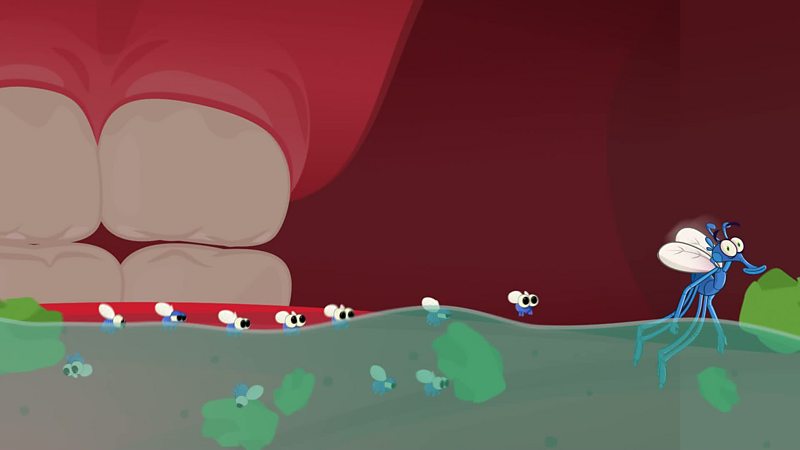 Body systems - 1st level Science - BBC Bitesize