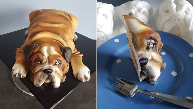 Everyone's freaked out about these unsettlingly realistic dog cakes ...