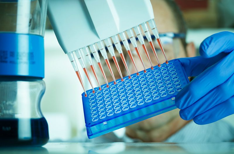 Human Cells - Higher Human Biology - BBC Bitesize