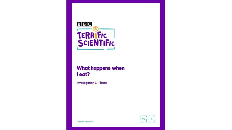 Taste: Lesson resources - BBC Teach